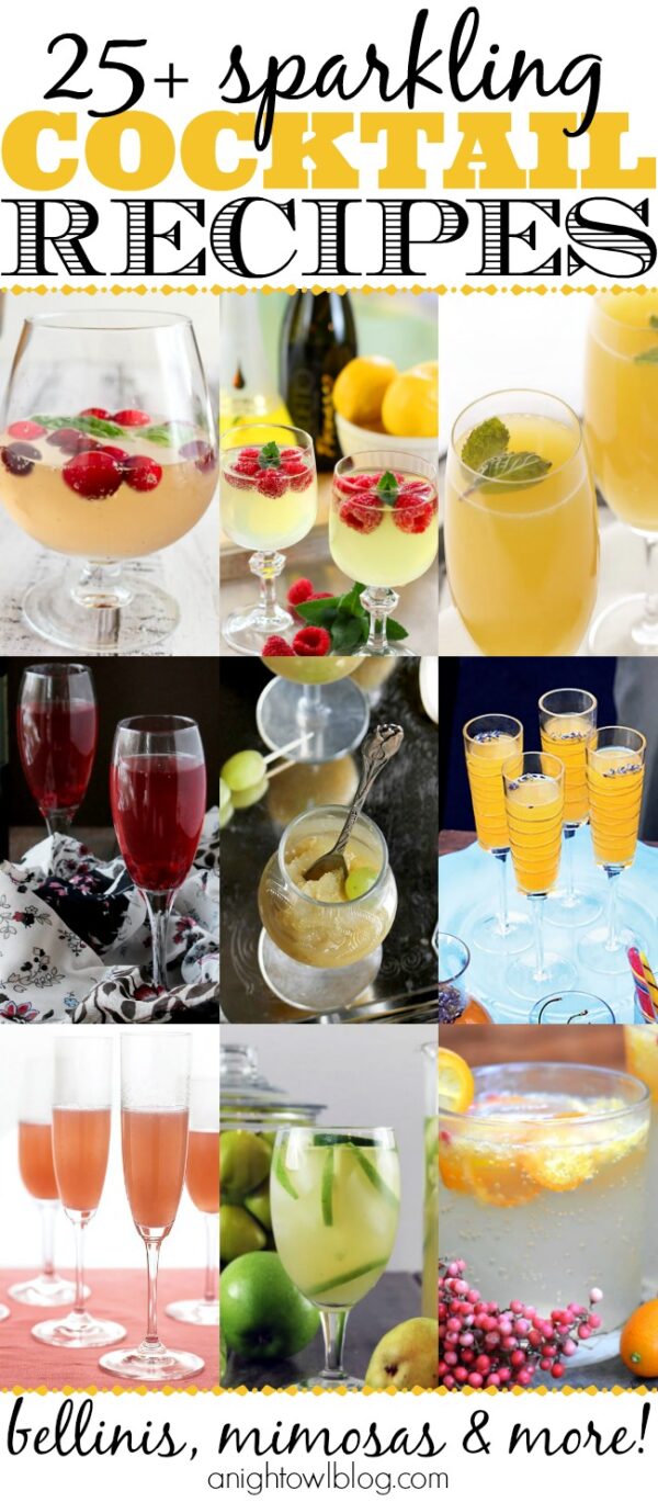 25+ Sparkling Cocktail Recipes - A Night Owl Blog