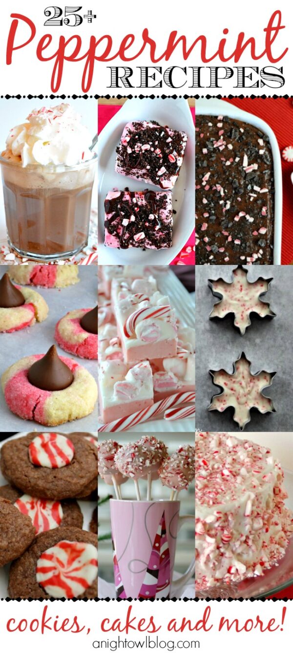 25+ Peppermint Recipes - A Night Owl Blog