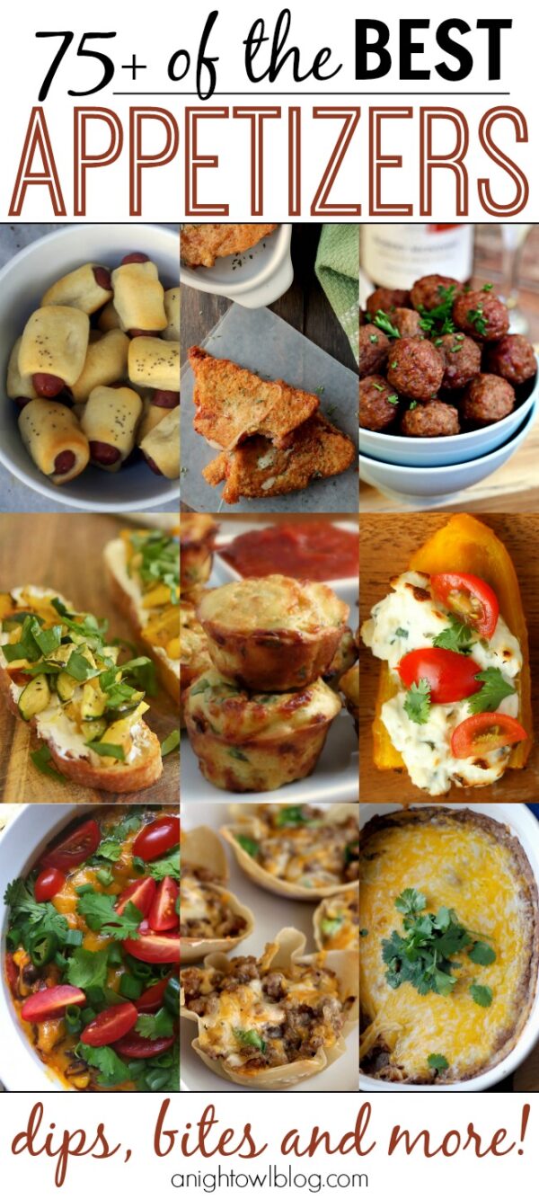 75+ Appetizer Recipes - A Night Owl Blog