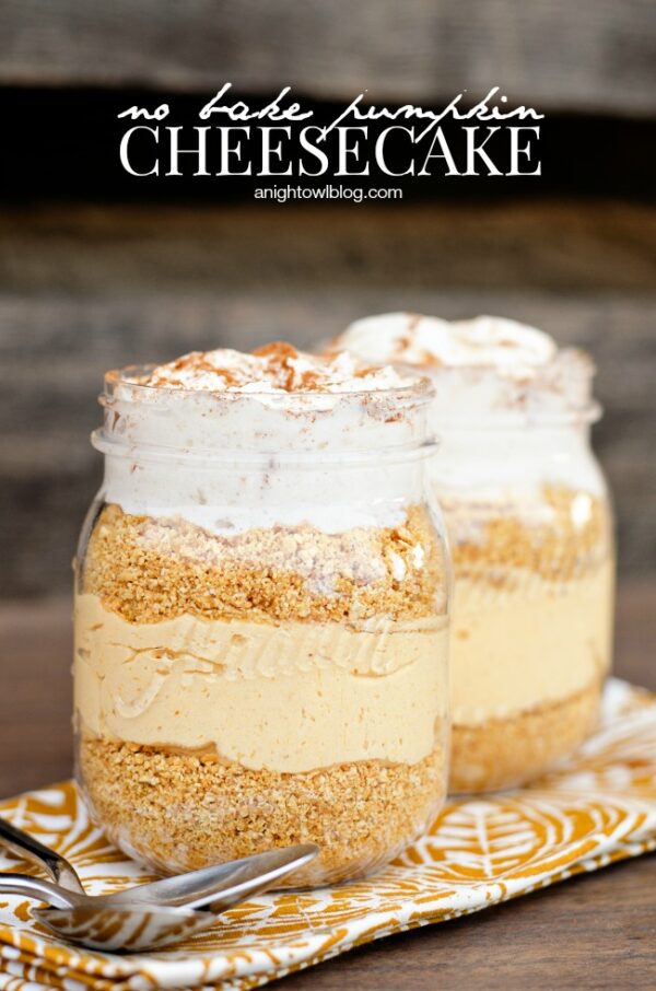 Easy No Bake Pumpkin Cheesecake - A Night Owl Blog