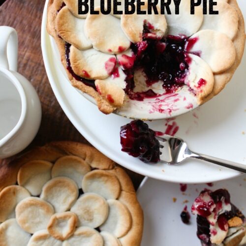 Blue Ribbon Blueberry Pie - A Night Owl Blog