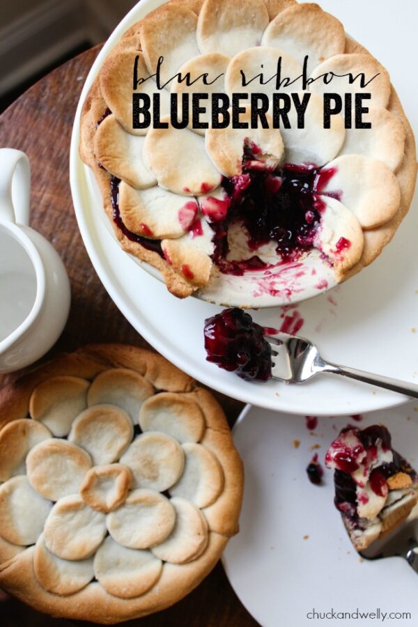 Blue Ribbon Blueberry Pie - A Night Owl Blog