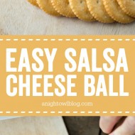 Easy Salsa Cheese Ball - A Night Owl Blog