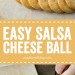 Easy Salsa Cheese Ball - A Night Owl Blog