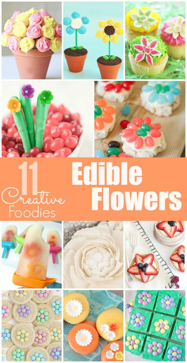 Easy Flower Patch Fudge - A Night Owl Blog