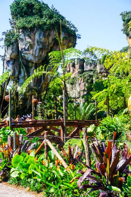 10 Reasons to Visit Pandora – The World of Avatar - A Night Owl Blog