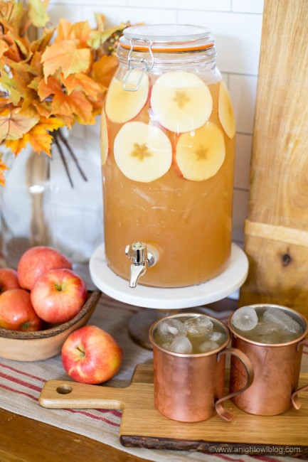 Spiced Apple Rum Punch - A Night Owl Blog