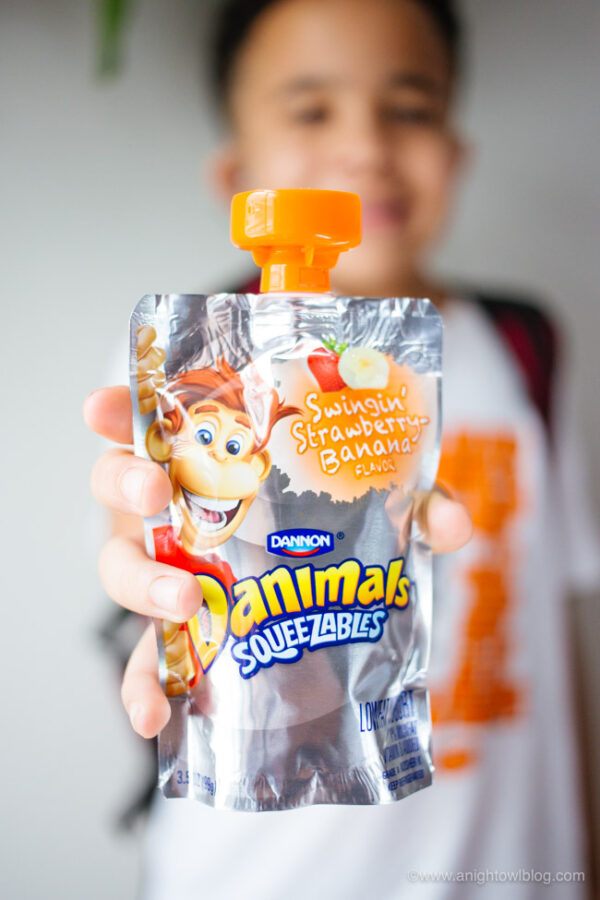 Back to School with Danimals - A Night Owl Blog