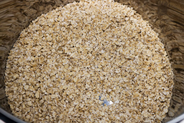 Instant Pot Quick Oats - A Night Owl Blog